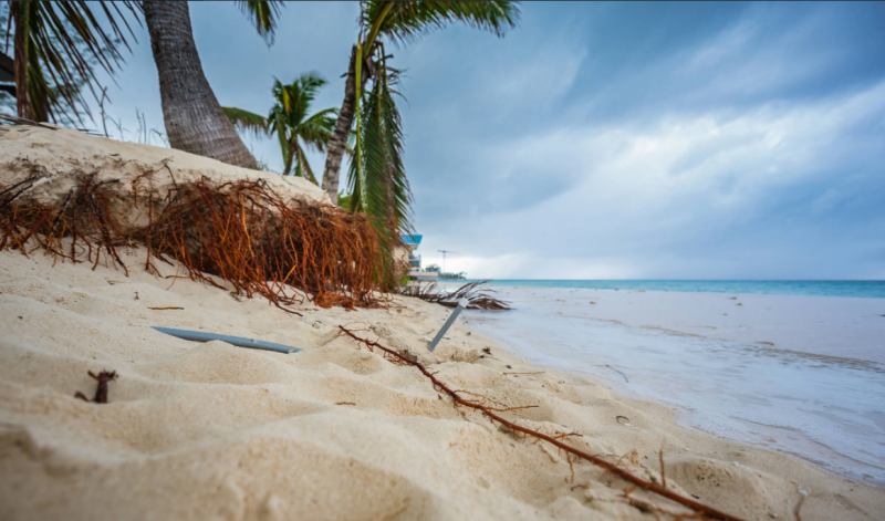 Cayman Eco - LOCAL NEWS...﻿